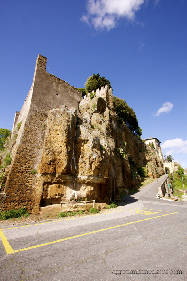Risotto with Artichokes, Apples and Flower Sprinkles and the Village of ...