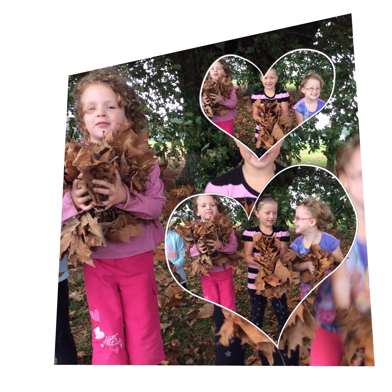 Room 3 Firth Primary School: Collage