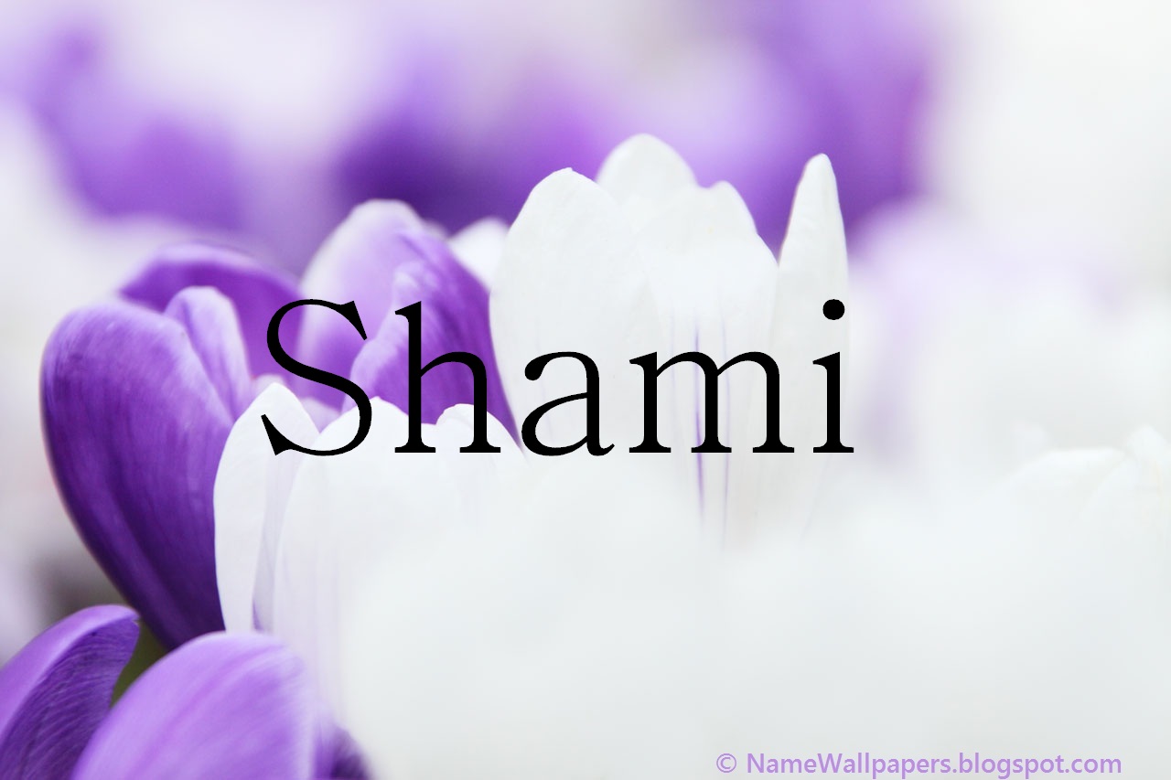 Shami Name Wallpapers Shami ~ Name Wallpaper Urdu Name Meaning Name ...