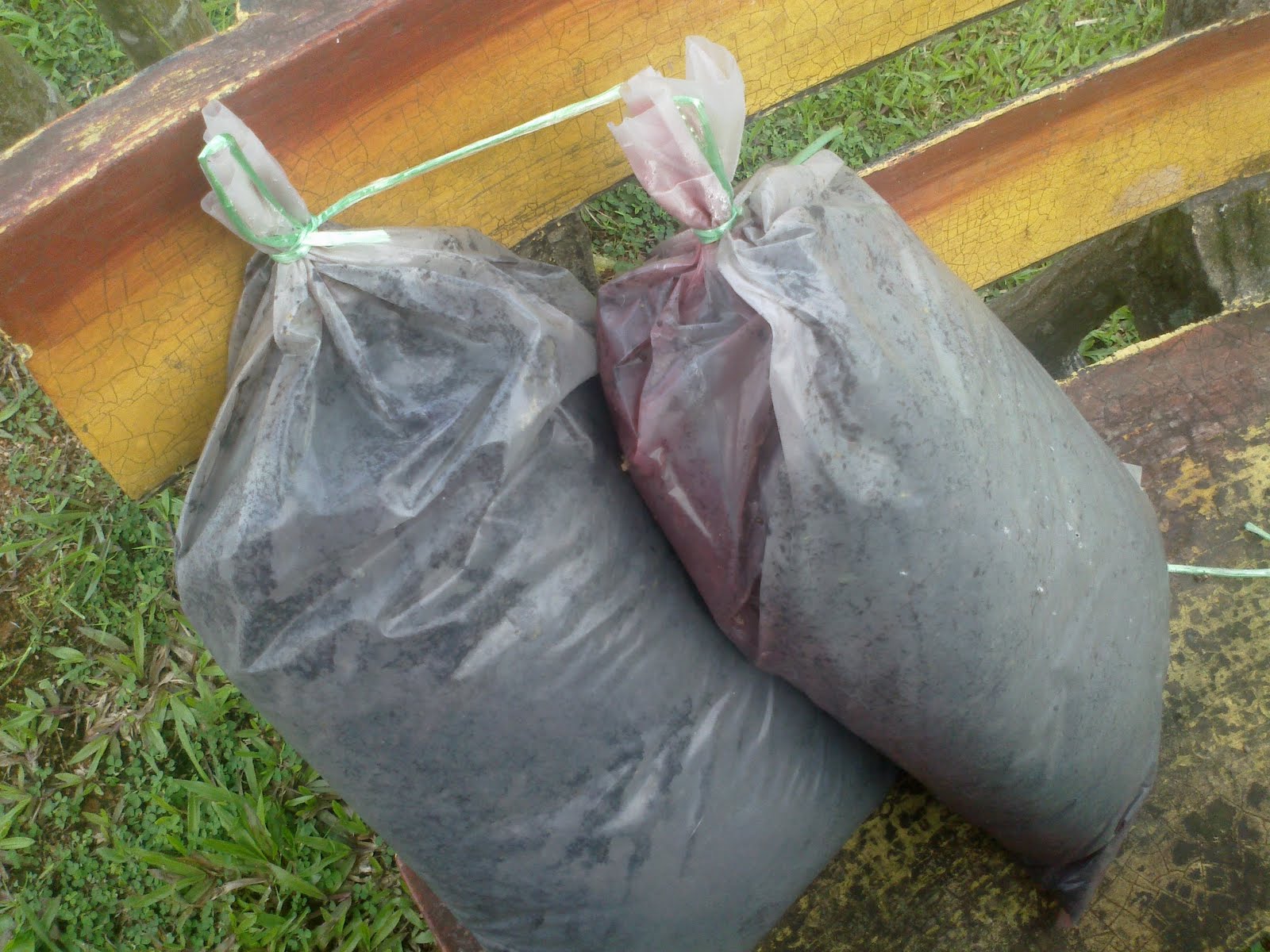 " LANGKAH TERCIPTA ": " Berbakti kepada tanah..."