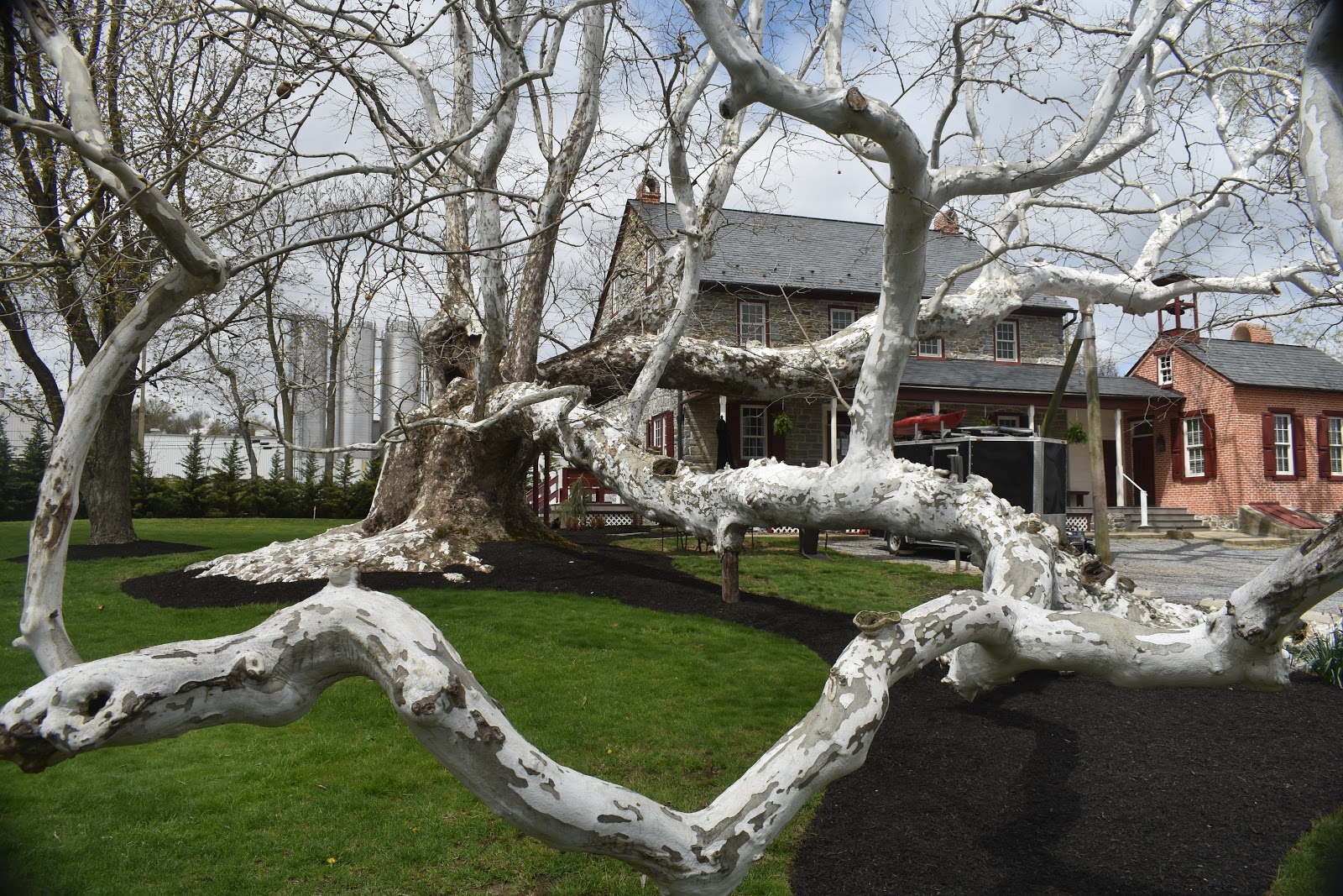 Extraordinary Stories From An Ordinary Guy: The "If Only The Old ...