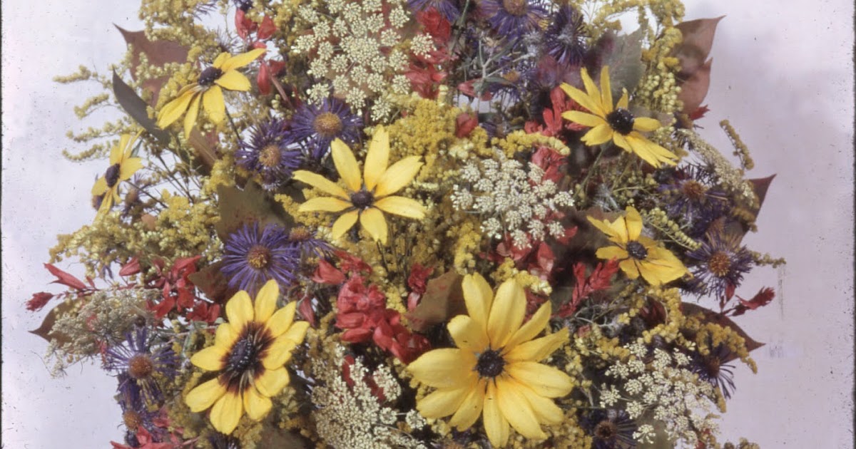 Smithsonian Collections Blog: Fine Art of Flower Arrangement and ...