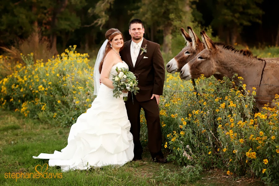 Stephanie Davis Photography