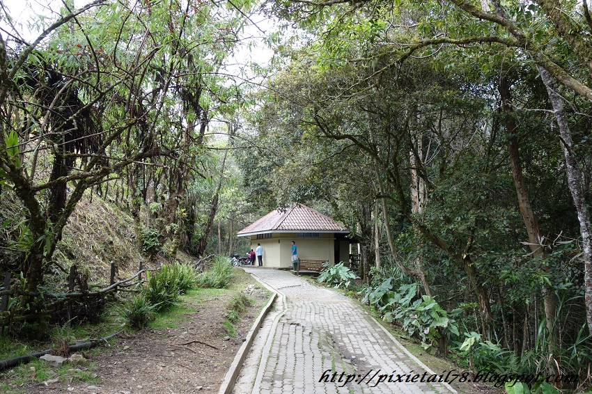 Kinabalu Park - Sabah