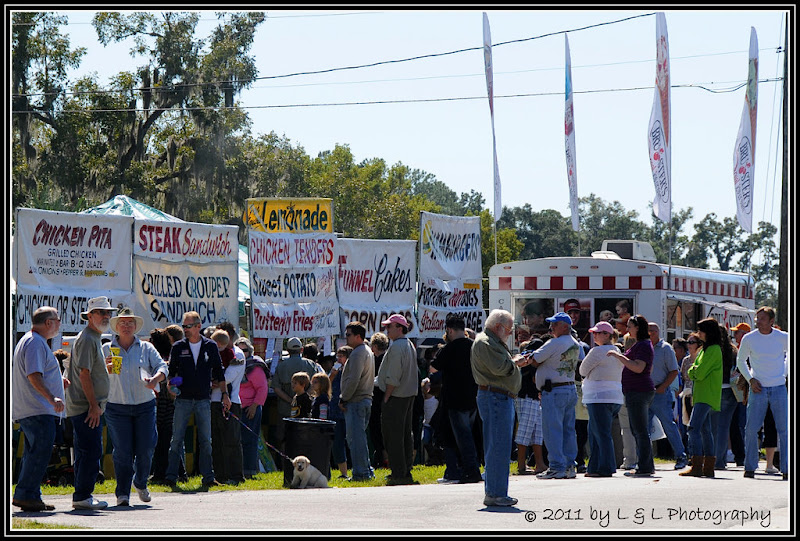 Ocala, Central Florida & Beyond: Ocala 2011 Arts & Crafts Fair - Food!