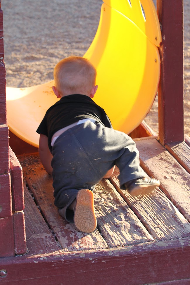 The Fisk Files: Life and What They Say