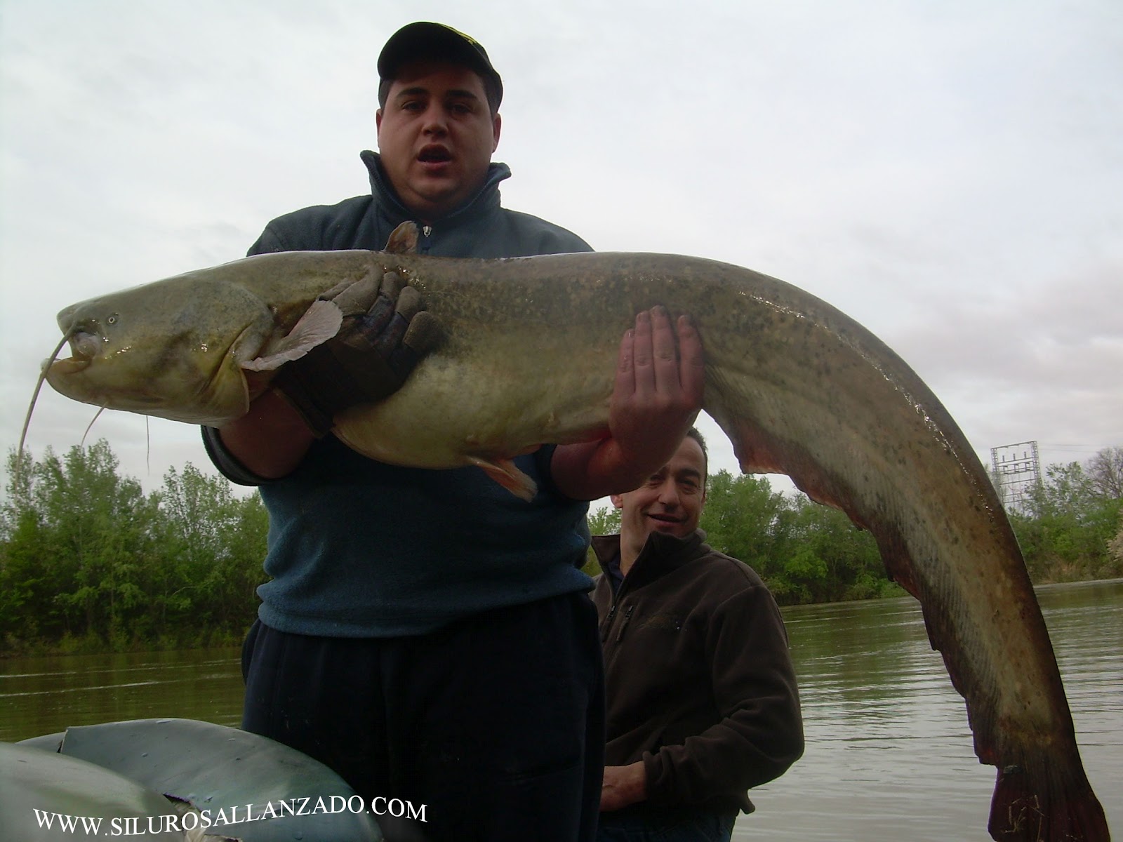 PESCA DEL SILURO EN EL EBRO: PESCA CON GUÍA DE SILUROS AL LANZADO EN EL ...