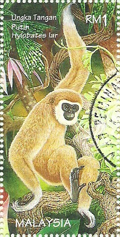 DUNIA SETEM : Wild Life Stamp 1996.