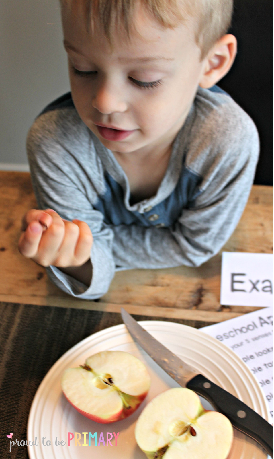 Apple Activities for Kids to Explore the 5 Senses – Proud to be Primary