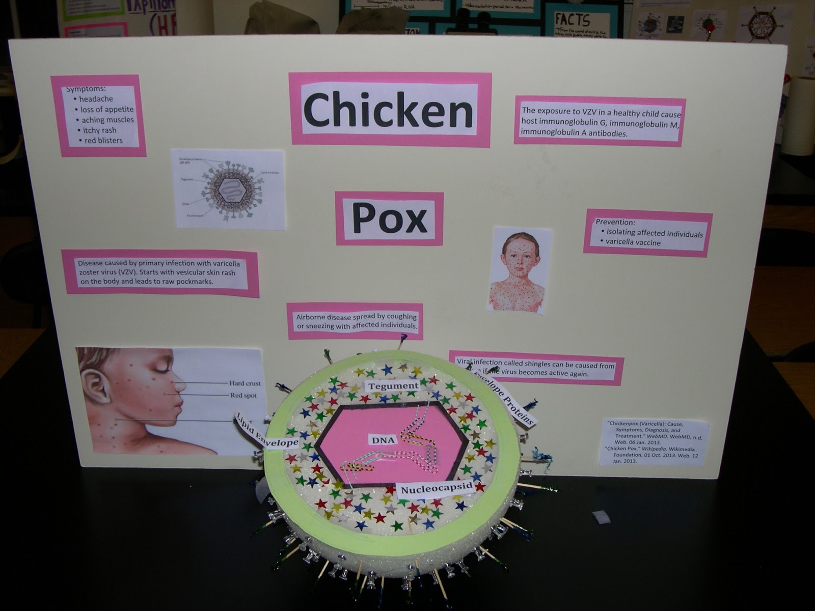 Bronxville Science Department: Honors Biology II Virus Projects