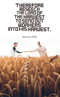 Daily Grace, Todays Godly Reminder , Bible Quotes, Verses, Prayers ...