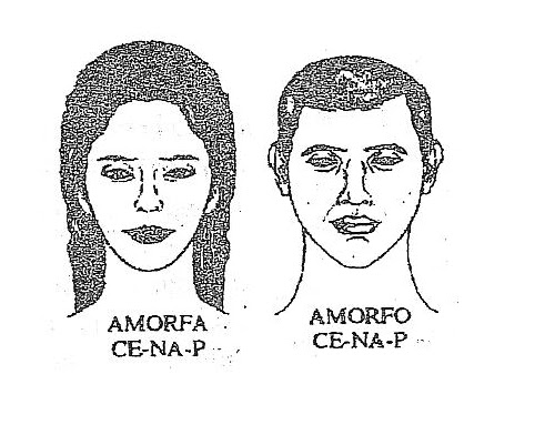 Mis Escritos para Ti: 2012