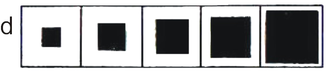 Arquitectura: Gradación.