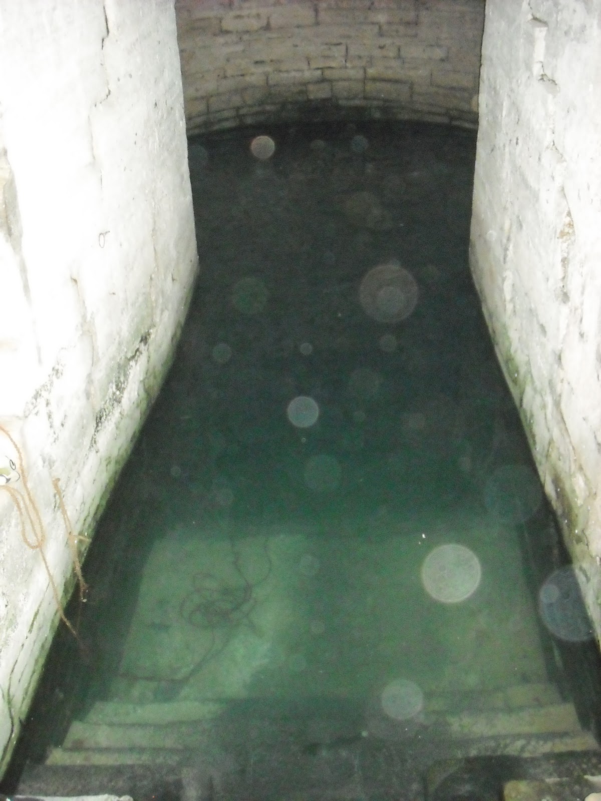 Recuerdo de Venus... Venus Memories: Diario de Viaje a la India (1) Los ...