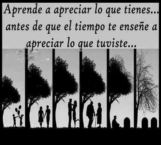 Las Imagenes Mas Sorprendentes de la Red: Aprende a apreciar lo que tienes