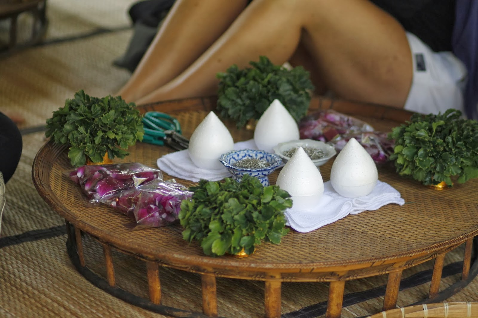 Journal photographique: The Museum of Floral Culture