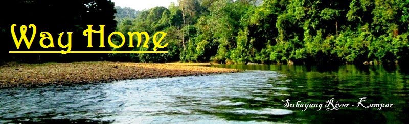 PEMANENAN GETAH DAMAR (di Repong Damar Pekon Pahmungan, Lampung Barat ...