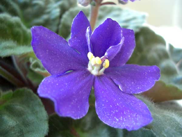 ARTE: ♥COLORES TERCIARIOS♥