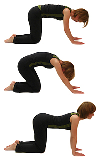 Pilates: Pilates Exercise- Caterpillar