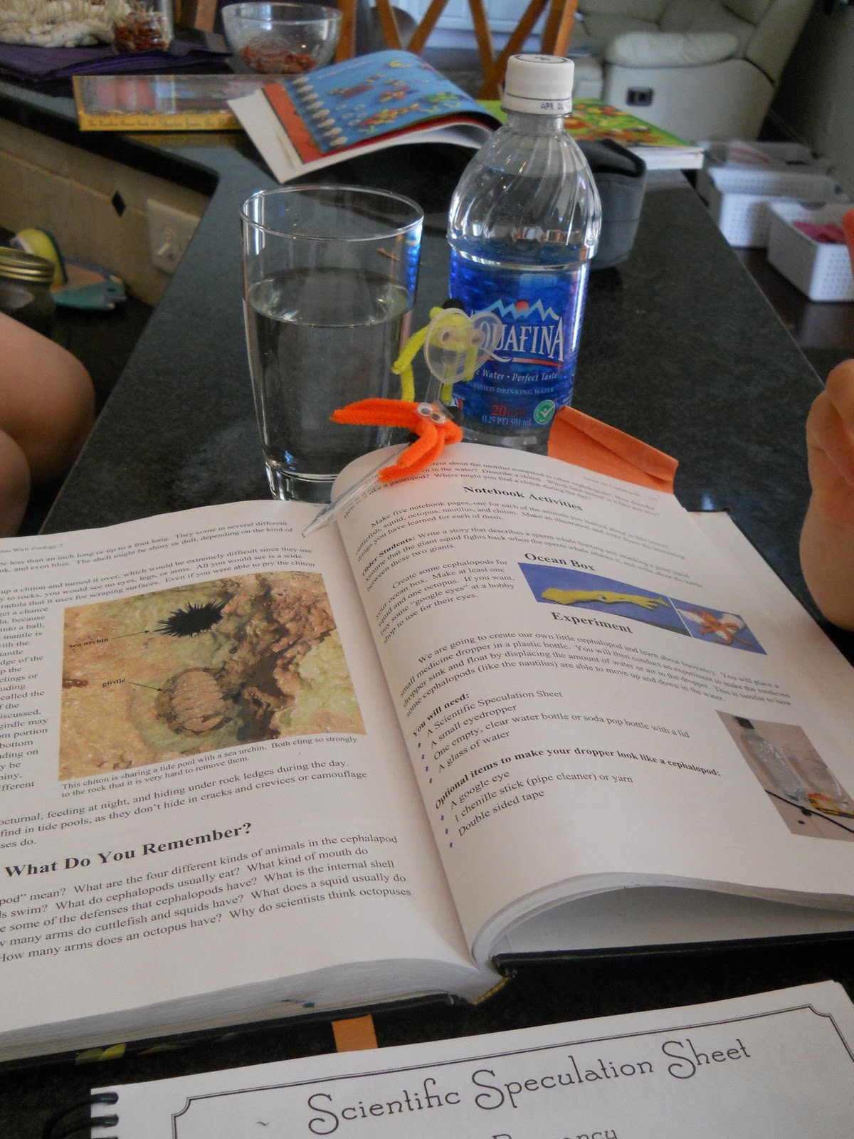 A Slice of Smith Life: Apologia Science Experiments