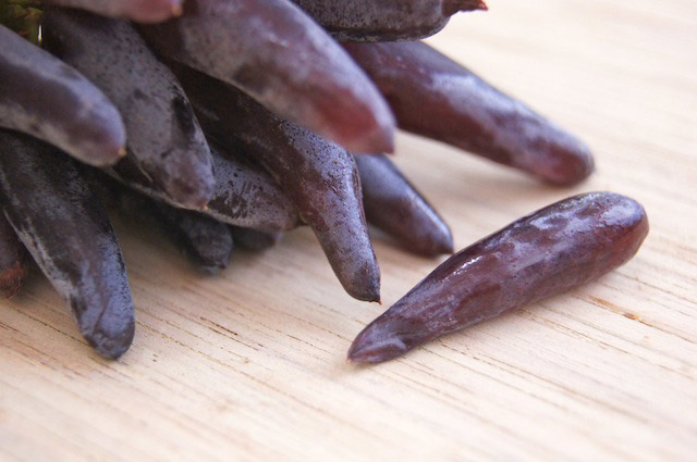 Introducing Witches Finger Grapes