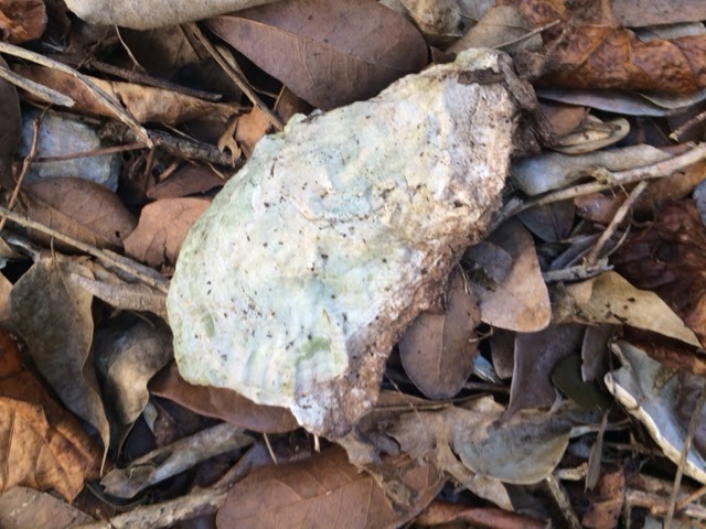 Green Mound: Millions of Meals