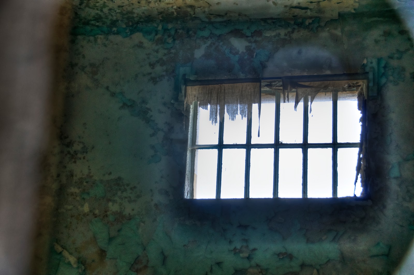 This Life in Ruins: Northern State Hospital Grounds on Photographic Tour