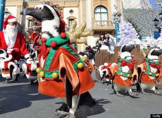 Teaching in Asia: Christmas in South Korea