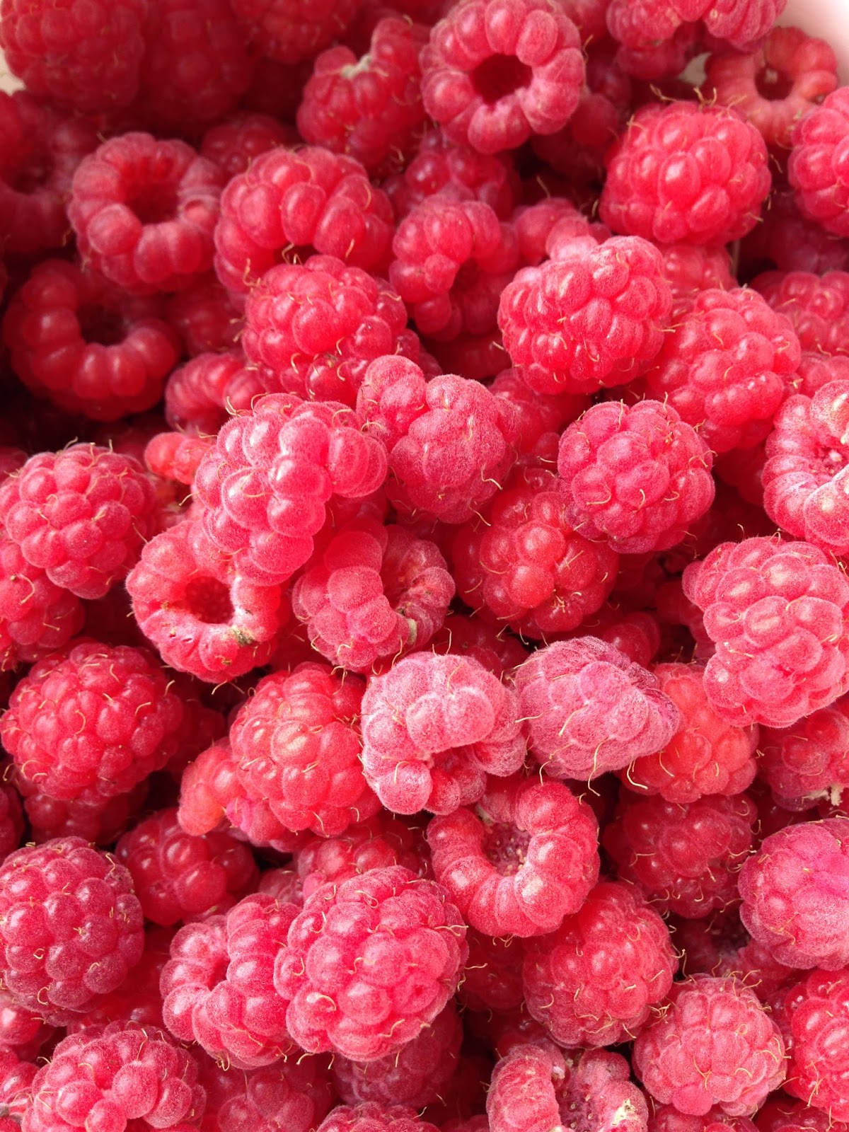 Arjen oloja: toukokuuta 2016