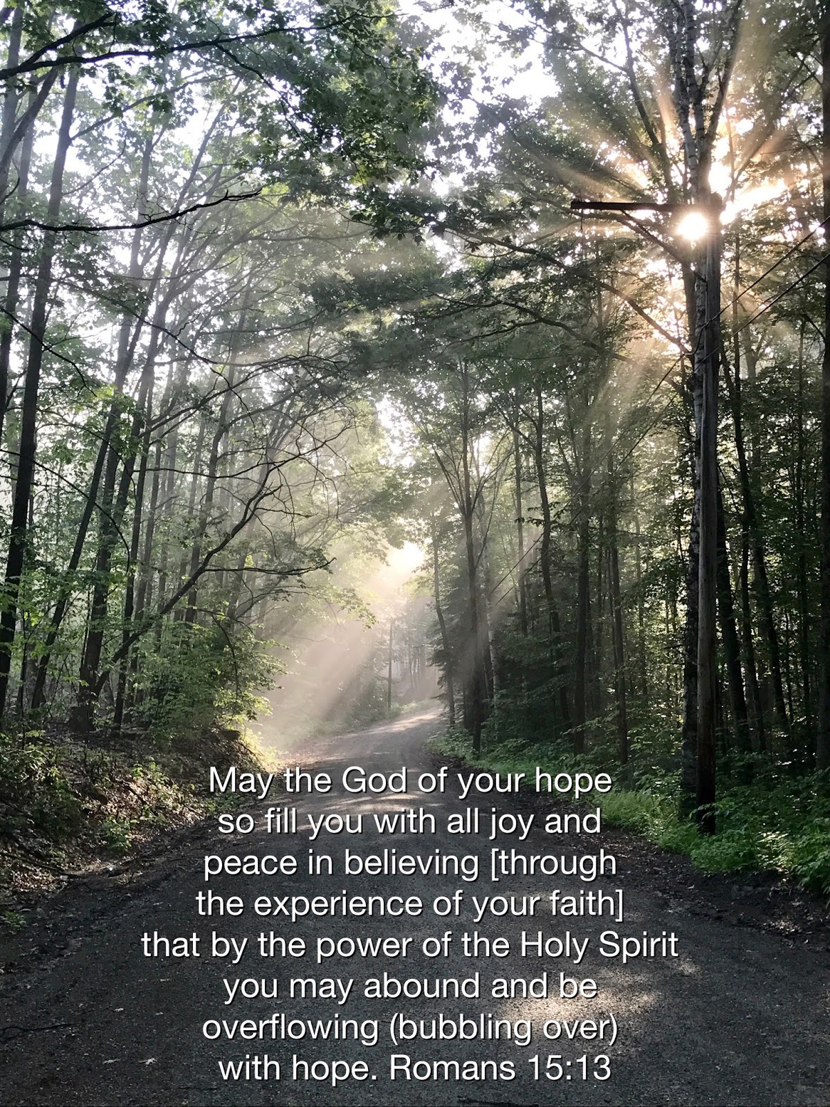 Welcome One Another As Christ Has Welcomed You {Romans 15} - Women in ...