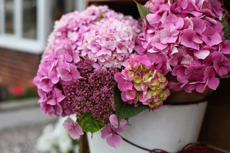 honesty box | J o u r n a l