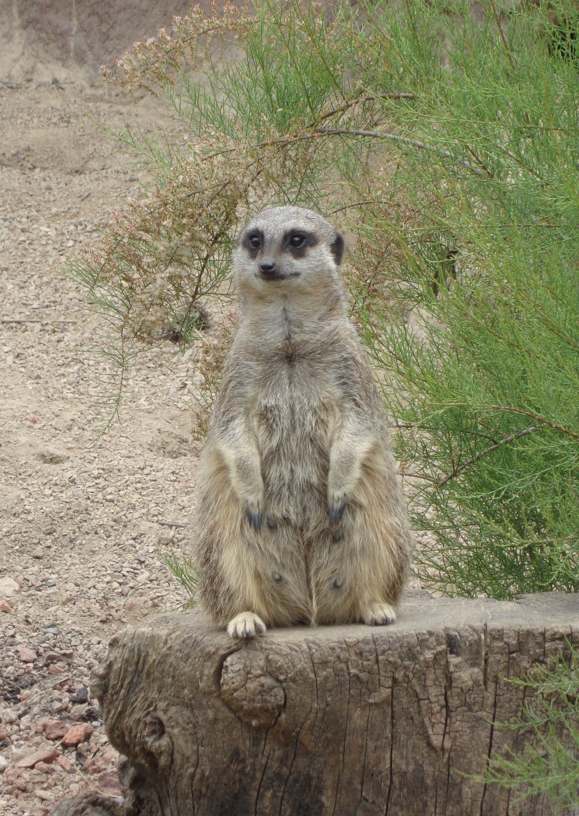 Sweet & Sour Baby: Aurinkoista säätä Lontoossa ja Helsingissä [kuvia!]