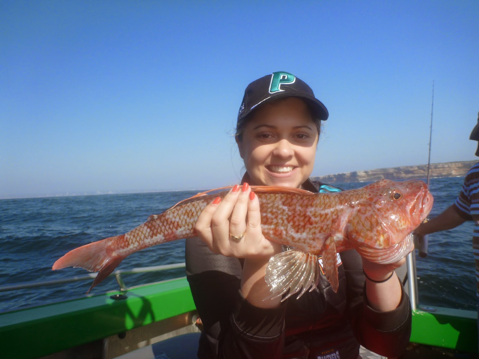 Scotty Fishing Life: CHARTER FISHING SYDNEY