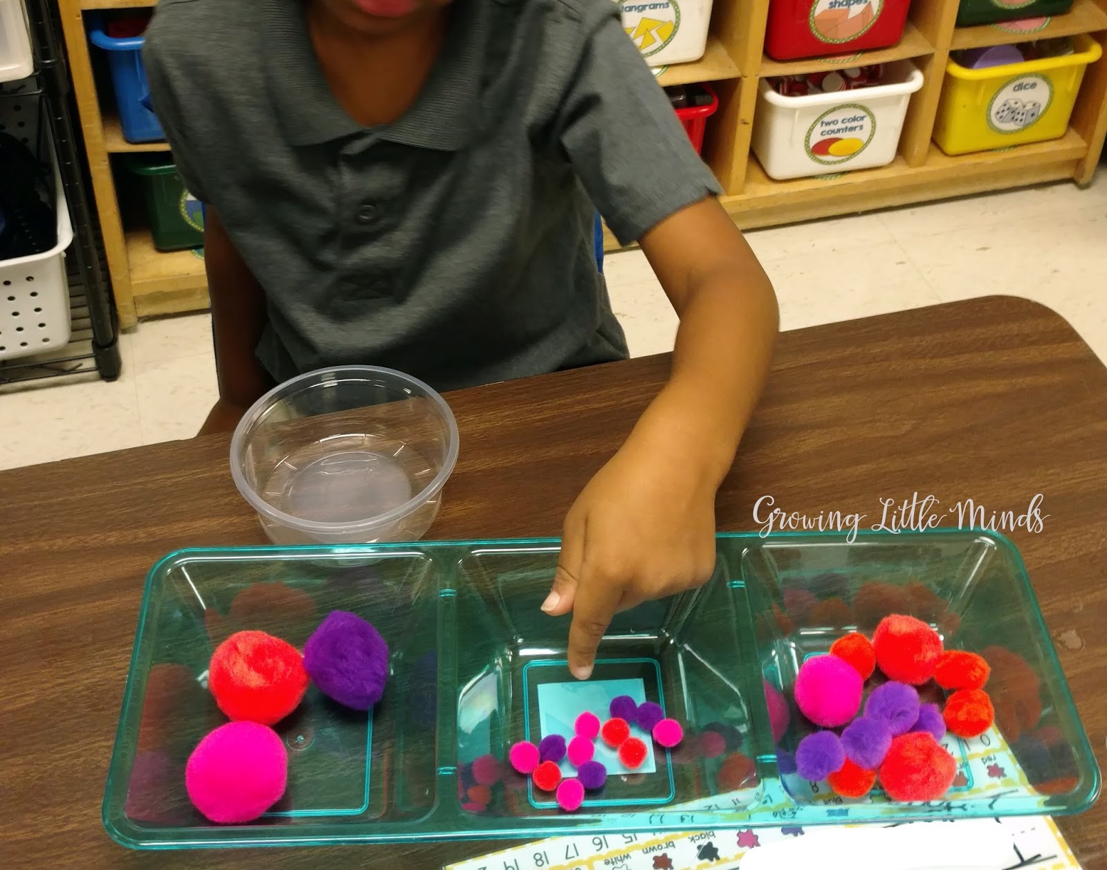 Growing Little Minds: Categorizing and Sorting in Kindergarten