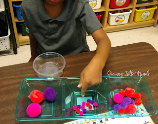 Growing Little Minds: Categorizing and Sorting in Kindergarten