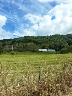 Rockhounding Around: Rockhounding at the Ray Mine, North Carolina