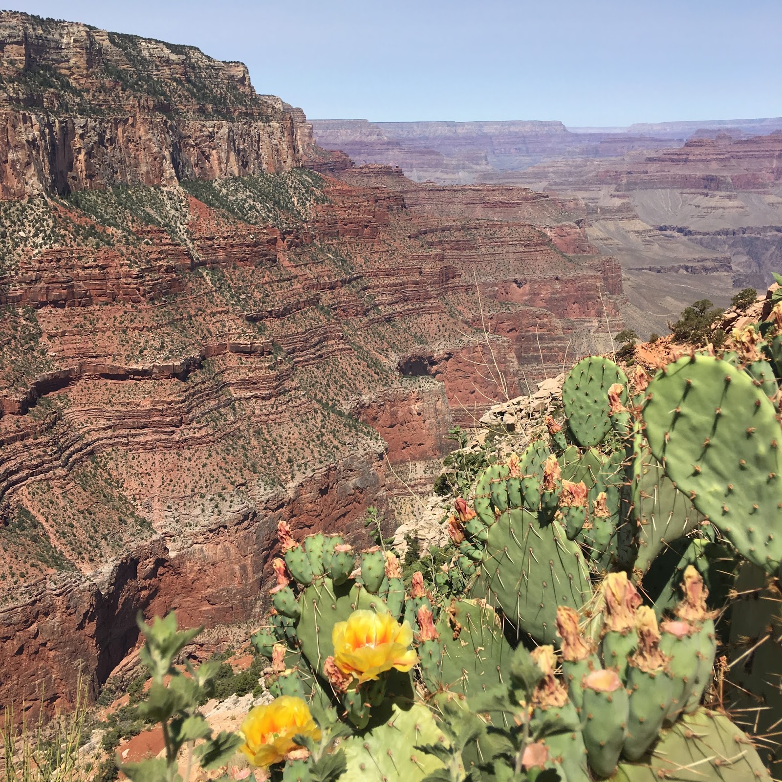 Grand Canyon Adventures - The Passport Stamp Collector Blog