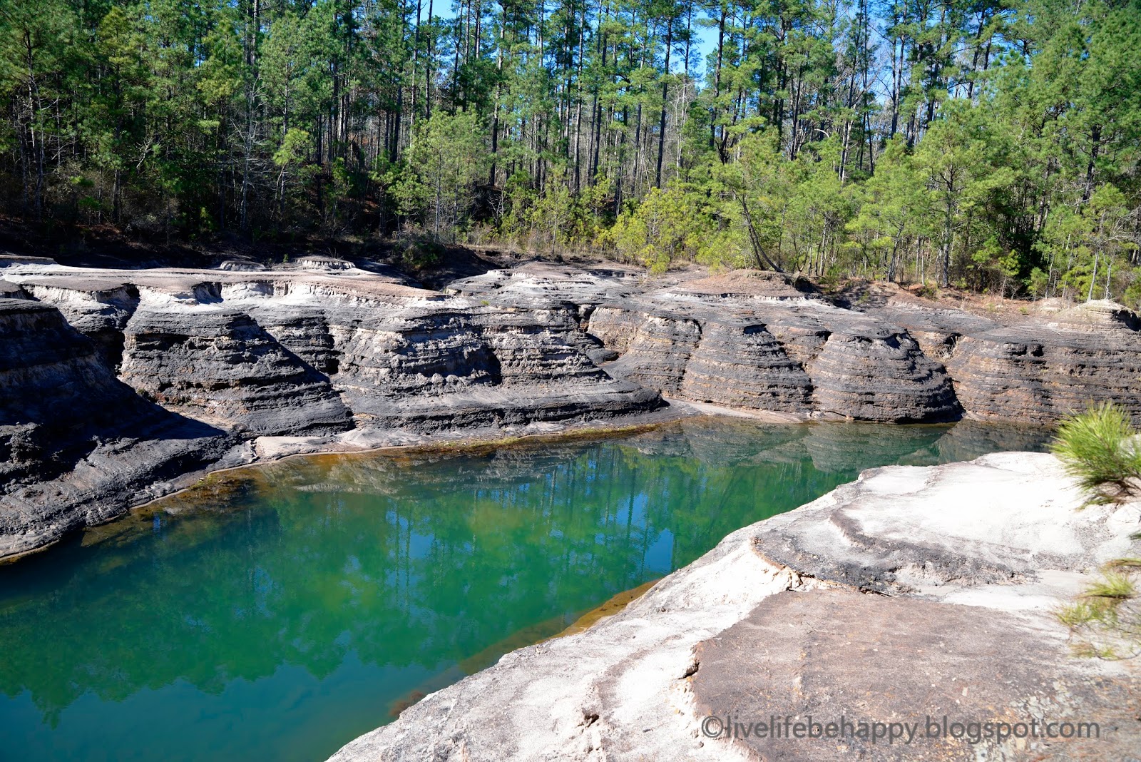 Life and Coconuts: Discovering the Little Grand Canyon in Arkansas