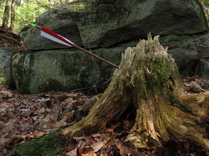 Project Gridless: An Archer's Guide to Stump Shooting