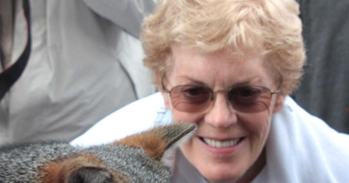 Friends of the Island Fox: Pat Meyer Talks About the Island Fox
