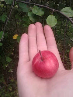 Johnstons' Riverview Farm: Riverview Farm News!