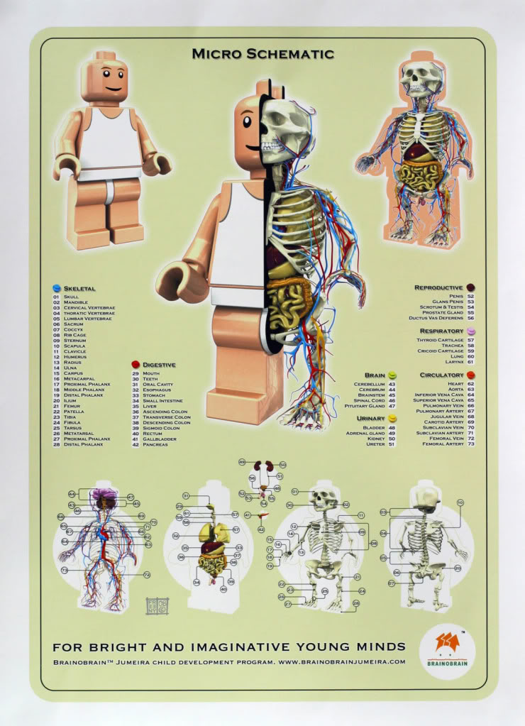 Jonathan Green, Author: The Anatomy of a Lego Man