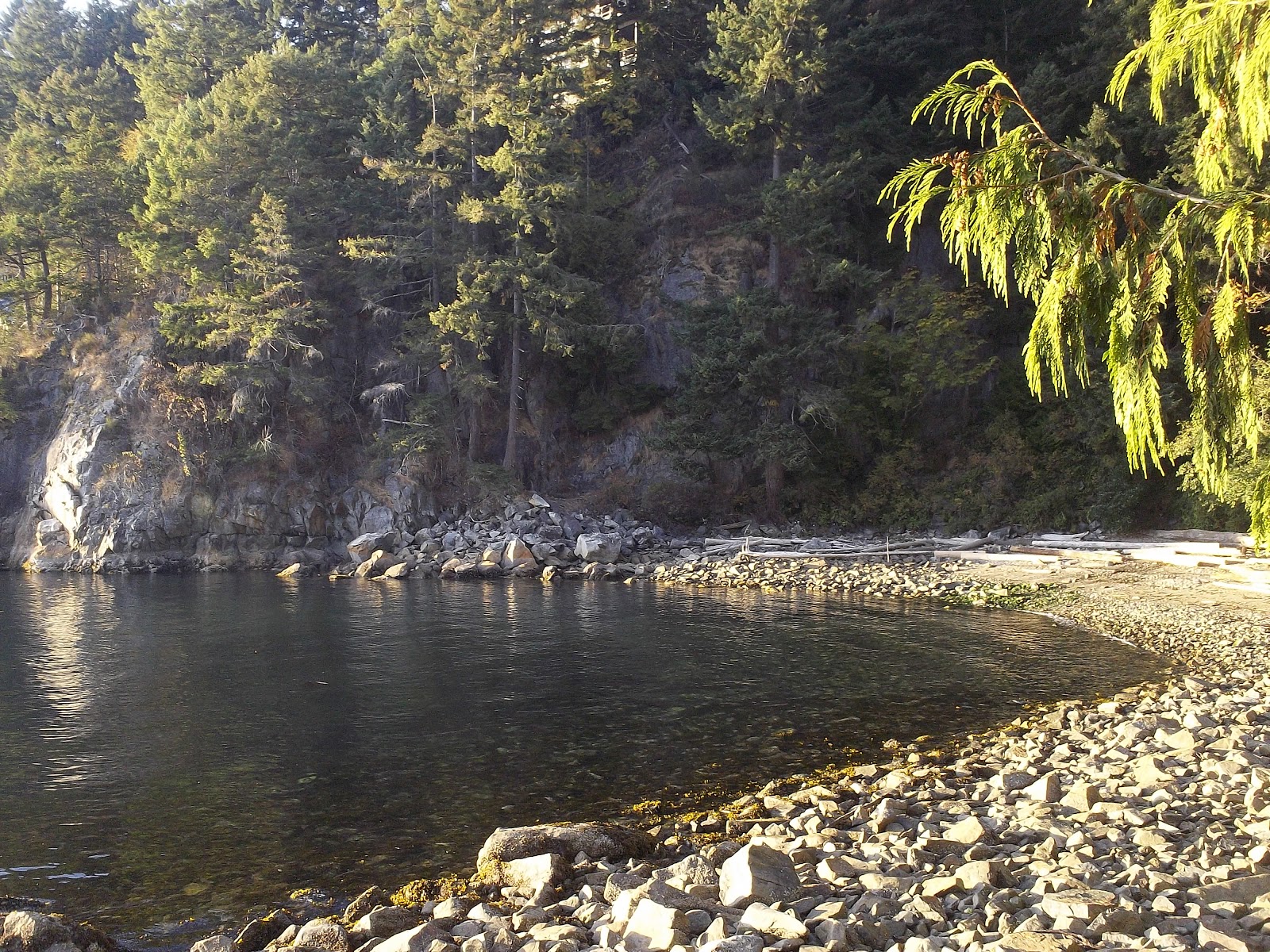 PPR: Proper Park Rating: Larson Bay Park [PPR: Local's Perspective]