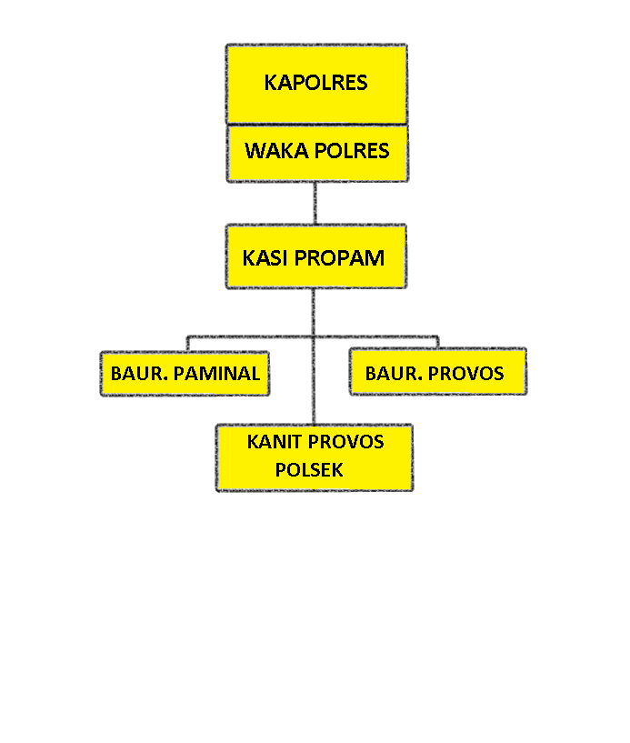 PROPAM POLRES DHARMASRAYA: STRUKTUR ORGANISASI PROPAM