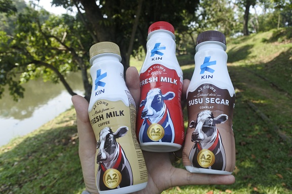 Mengenal Susu Dari Sapi A2 yang Mengandung Nutrisi dan Manfaat Lebih ...