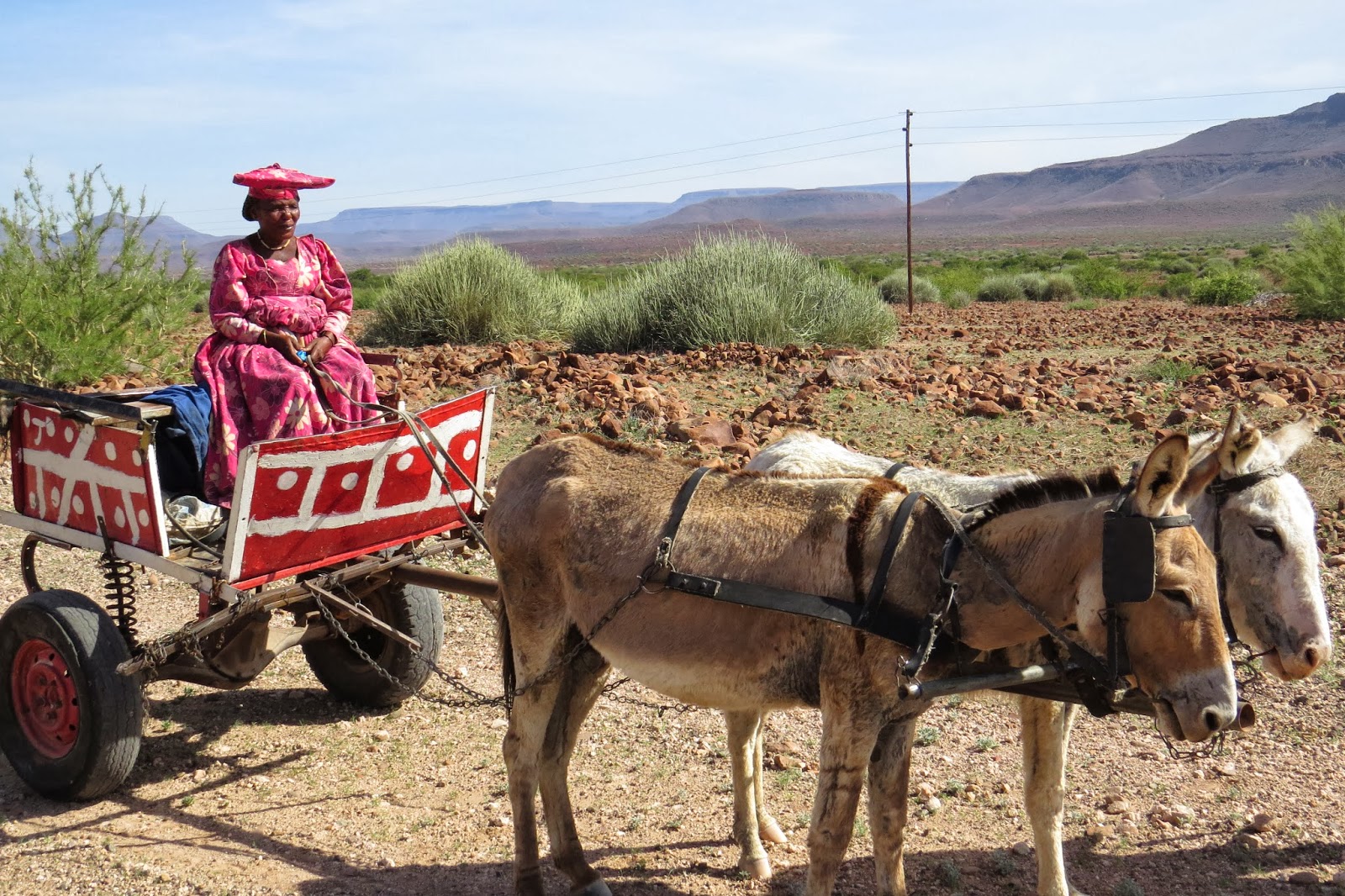 Dr. Phelan, I Presume?: The Ferrari of the Kalahari