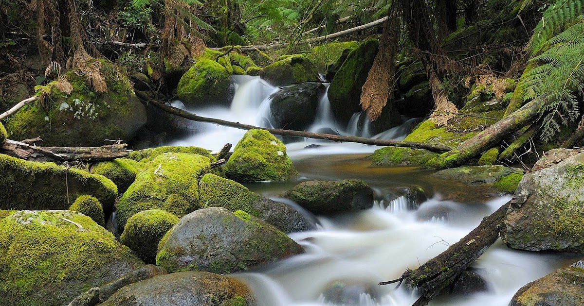 The Magic Spider: A Brief Guide to Effective Meditation