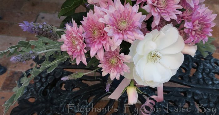 False Bay garden and water in July