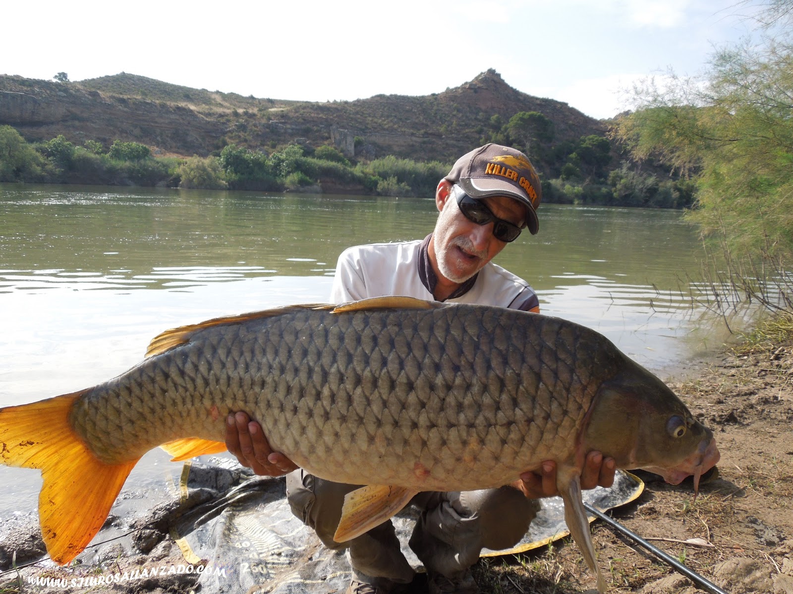 PESCA CON GUÍA DEL SILURO AL LANZADO Y PELLETS EN MEQUINENZA Y RÍO EBRO ...