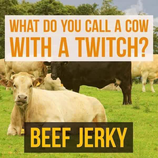 Top Ten Tuesday ~ Corny Jokes ~ No. 179